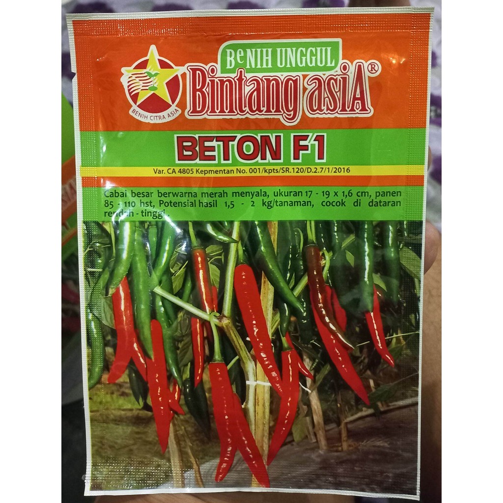 Jual Benih Cabe Besar BETON F1 10 Gram Bintang Asia | Shopee Indonesia