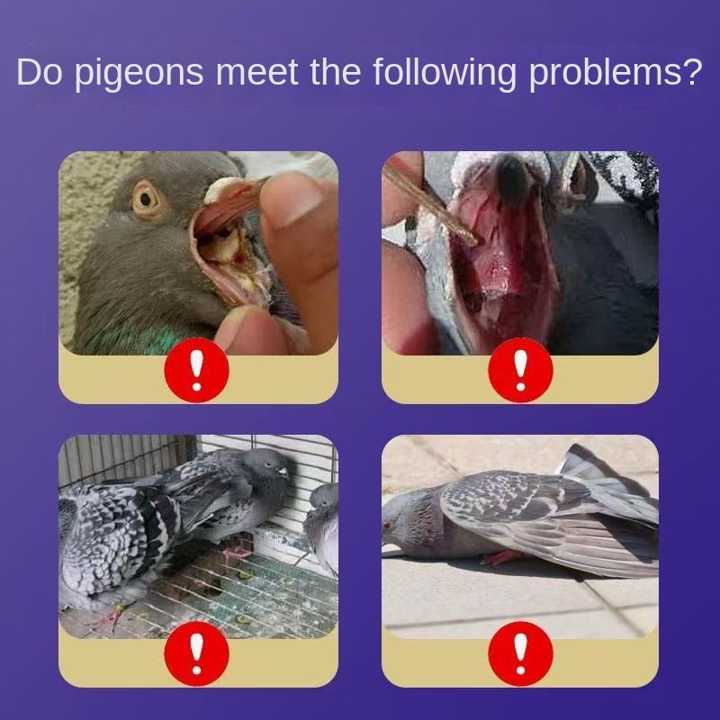 Jual Pigeon mouth yellow hair drops are used to clean the trichomonas ...