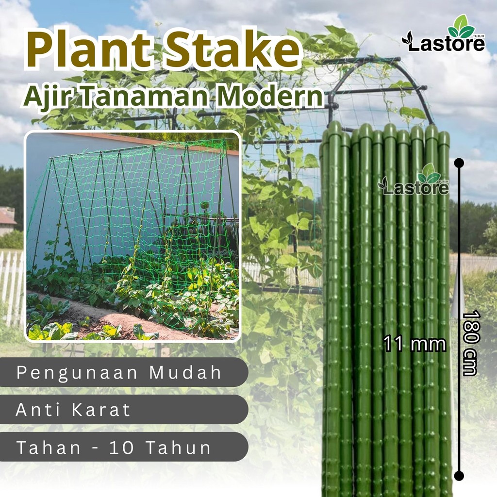 Jual Ajir Tanaman / Plant Stake - TAKIRON - 11 mm x 180 cm | Shopee ...