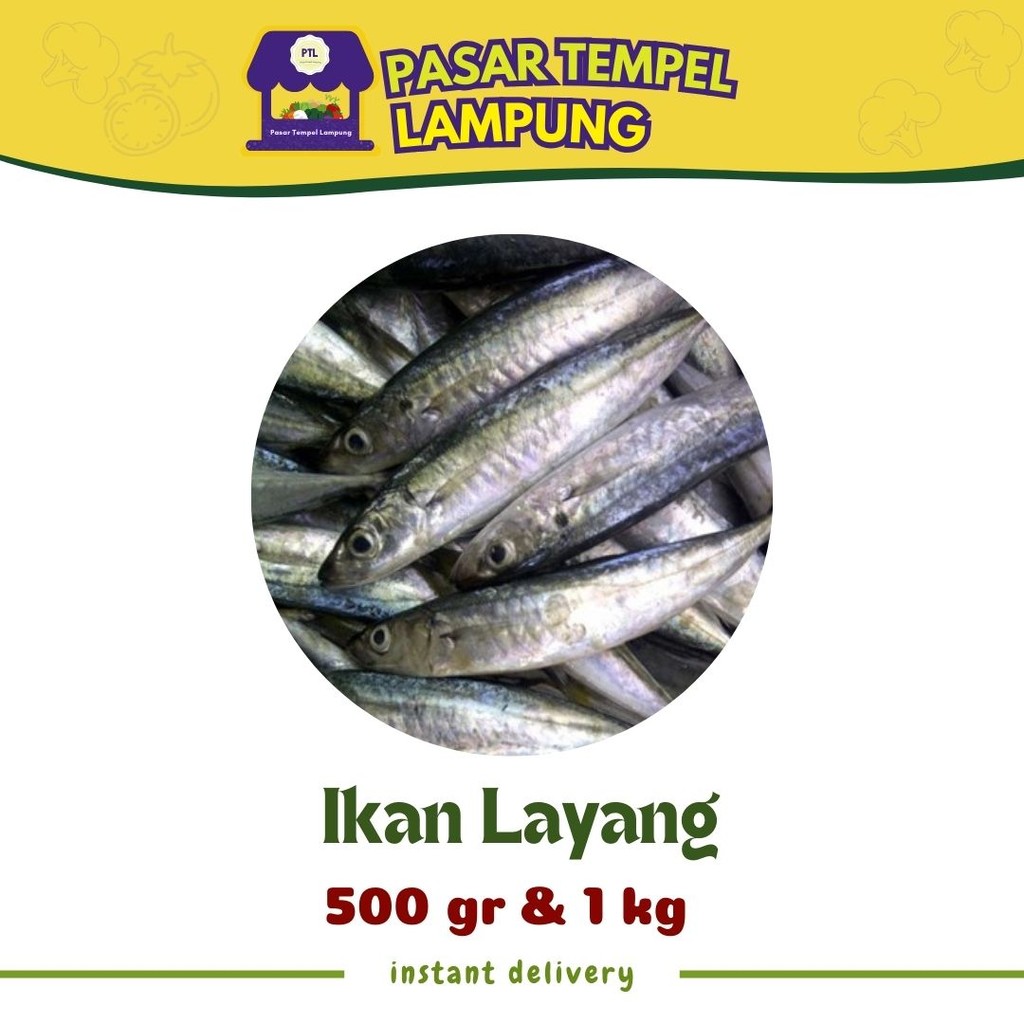 Jual Ikan Layang Ikan Laut Ikan Layang Segar 500 gr 1 kg Pasar Lampung ...
