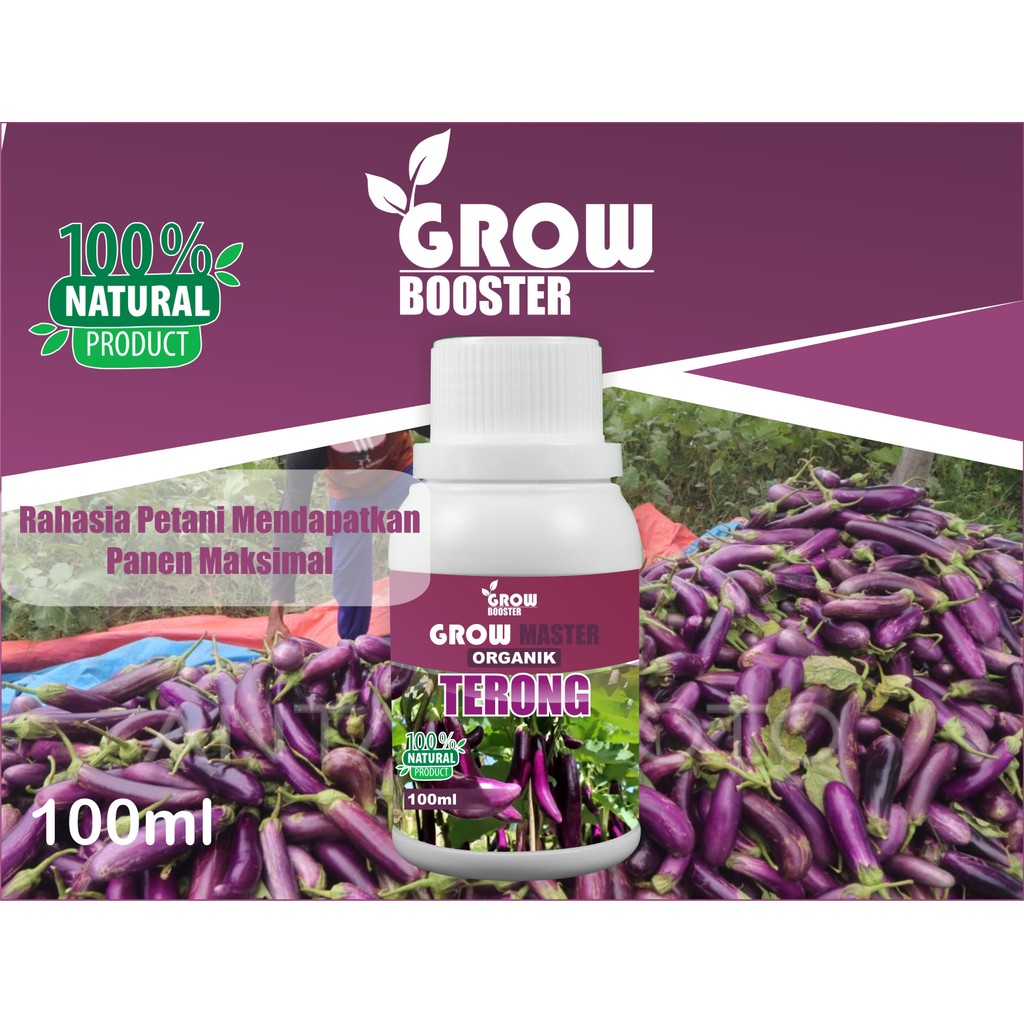 Jual GrowBooster Pupuk Cair TERONG, Pupuk Organik Cair TERONG, POC Terbaik Untuk Melebatkan ...