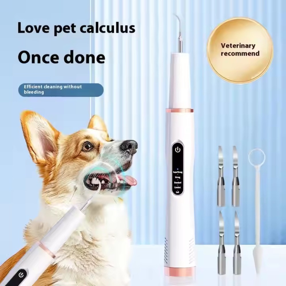 Jual Dog Cat Grooming Smart Dental Ultrasonic Scaler Household Tooth ...