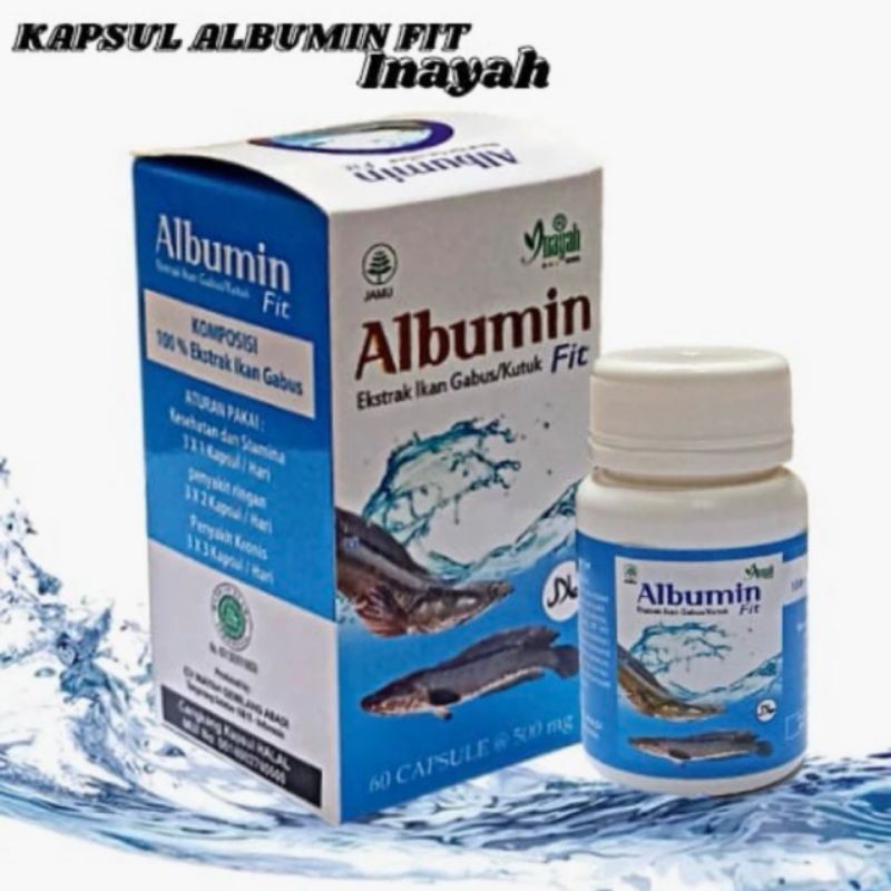 Jual ALBUMIN FIT KAPSUL ALBUMIN KAPSUL IKAN GABUS OBAT LUKA MEMPERCEPAT ...