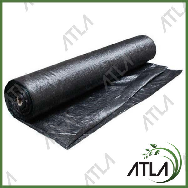 Jual Weedmat 2 Meter x 100 M Mulsa Plastik Terpal Penutup Rumput Taman ...