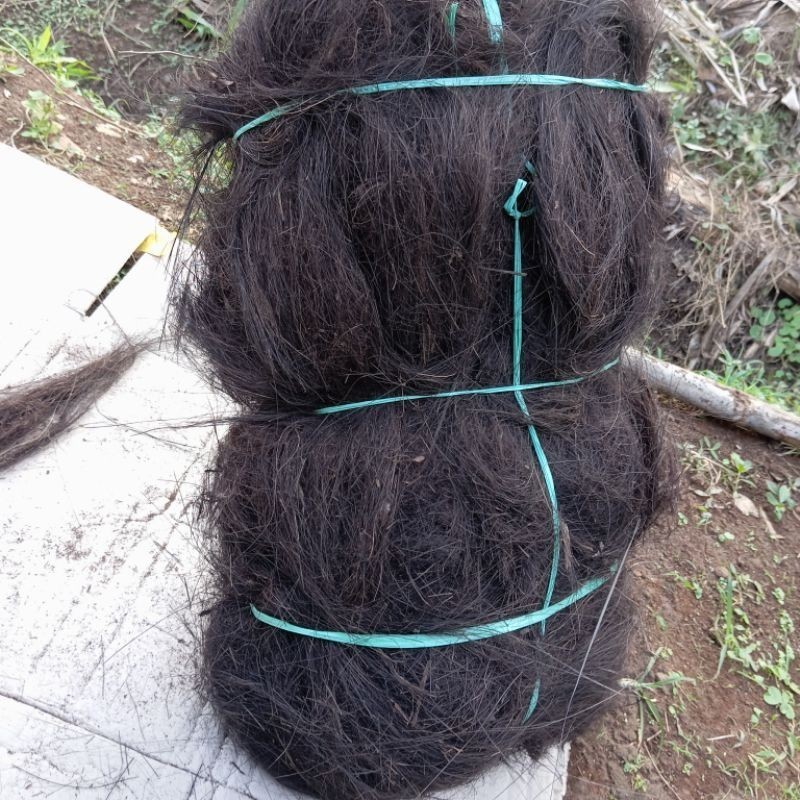 Jual Ijuk aren resapan /ijuk aren filter air/ijuk aren//ijuk septictank ...