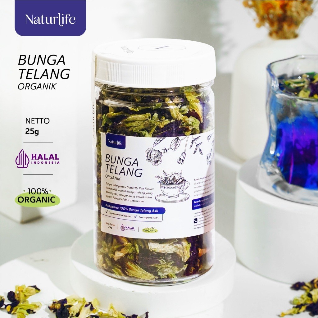 Jual TEH BUNGA TELANG KERING SEGAR ORGANIK 25G MINUMAN BUNGA TELANG ...