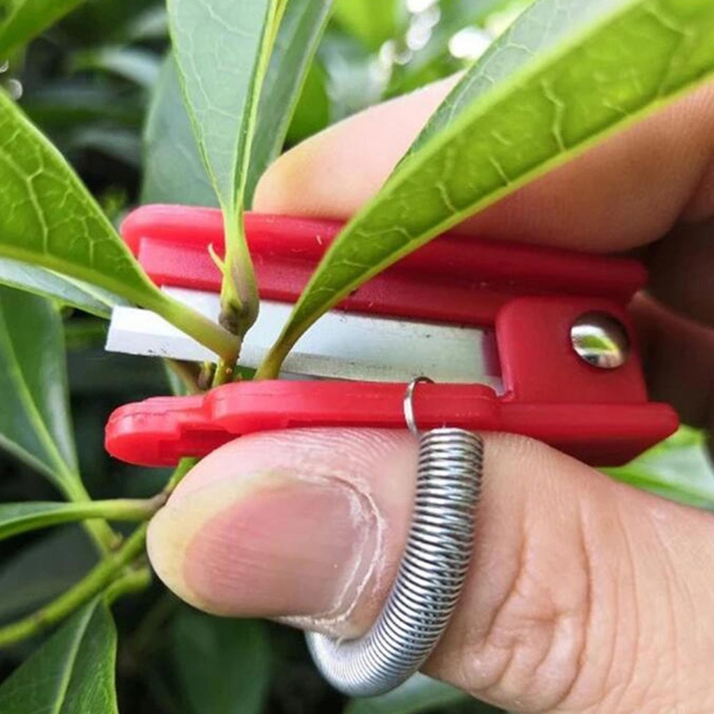Jual Gardening Thumb Pruner Finger Small Plant Cutter Picking Pruner ...