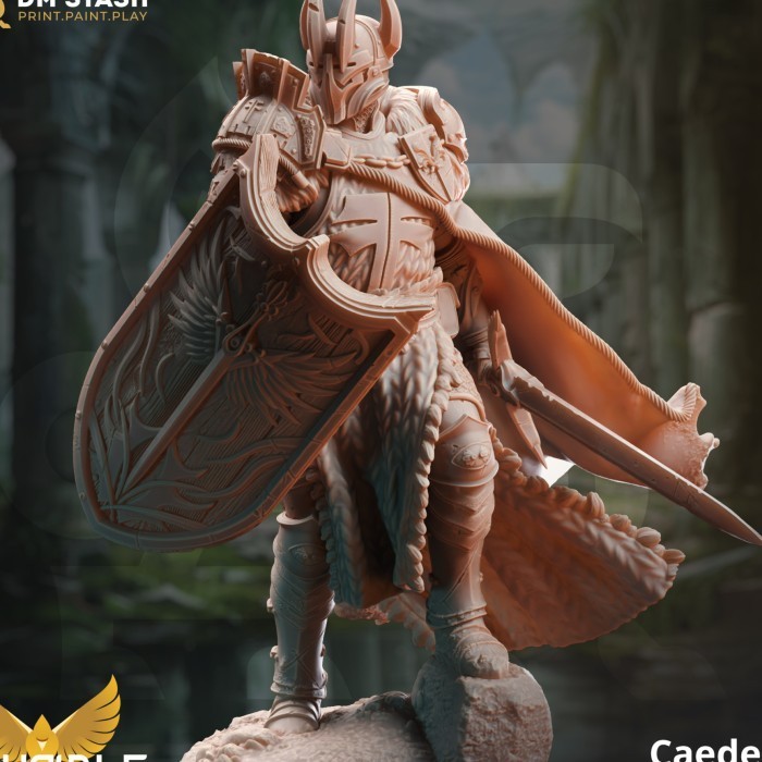 Jual Dungeons & Dragons - Caedes Chosen Paladin | Shopee Indonesia