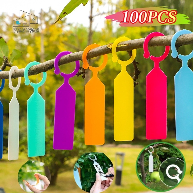 Jual 100 Pcs Label Tanaman Tag/Warna Label Tanaman Gantung /Tag Pohon Label/Tag Nama Tanaman ...