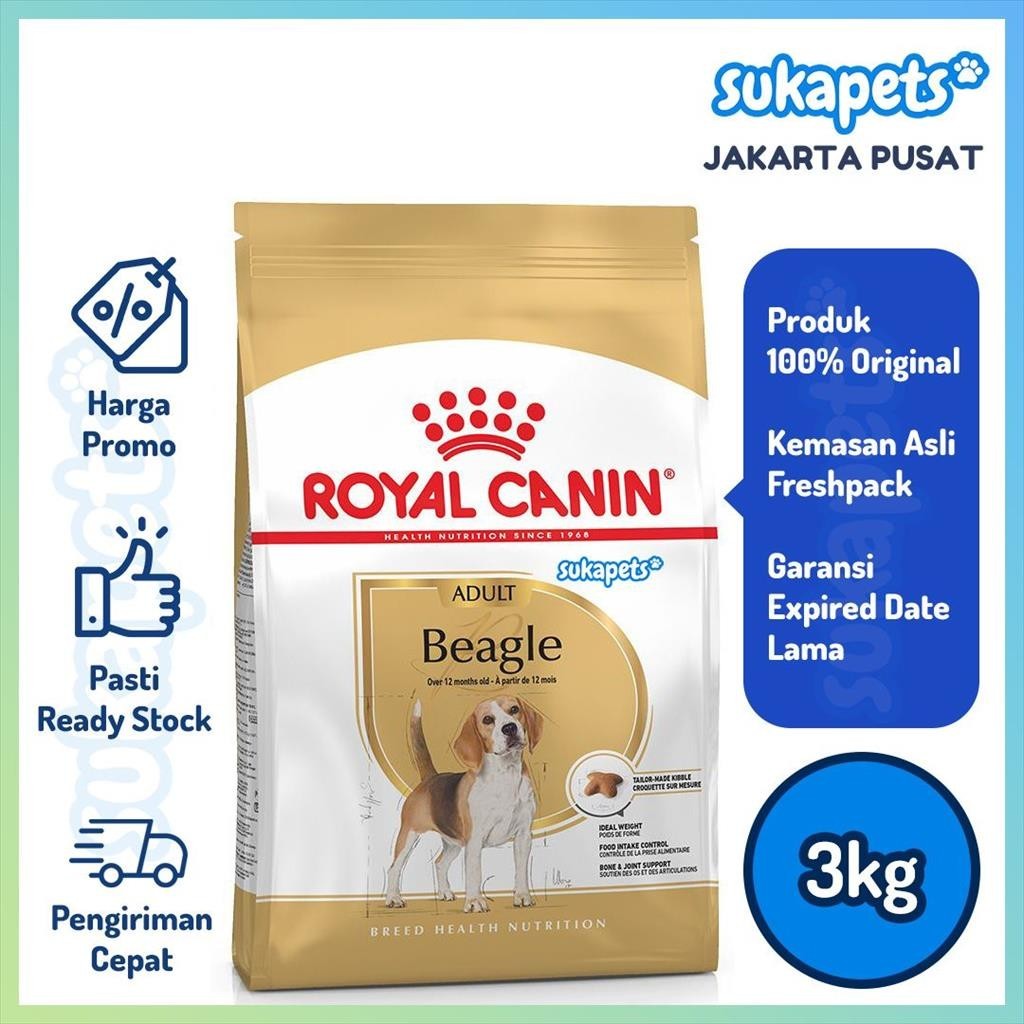 Jual Royal Canin Beagle Adult Makanan Anjing Dewasa Dry 3kg | Shopee ...