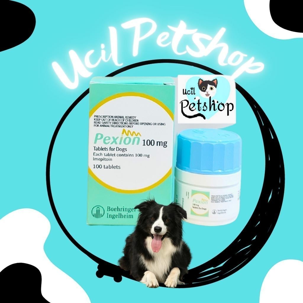 Jual Pexion 100mg Anti Epilepsi / Kejang-Kejang Pada Anjing (ECER 1 ...