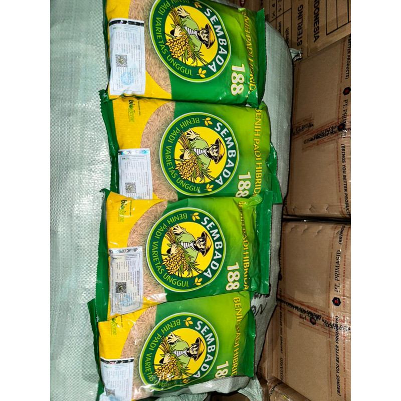 Jual Benih PADI HIBRIDA SEMBADA 188, 1kg | Shopee Indonesia