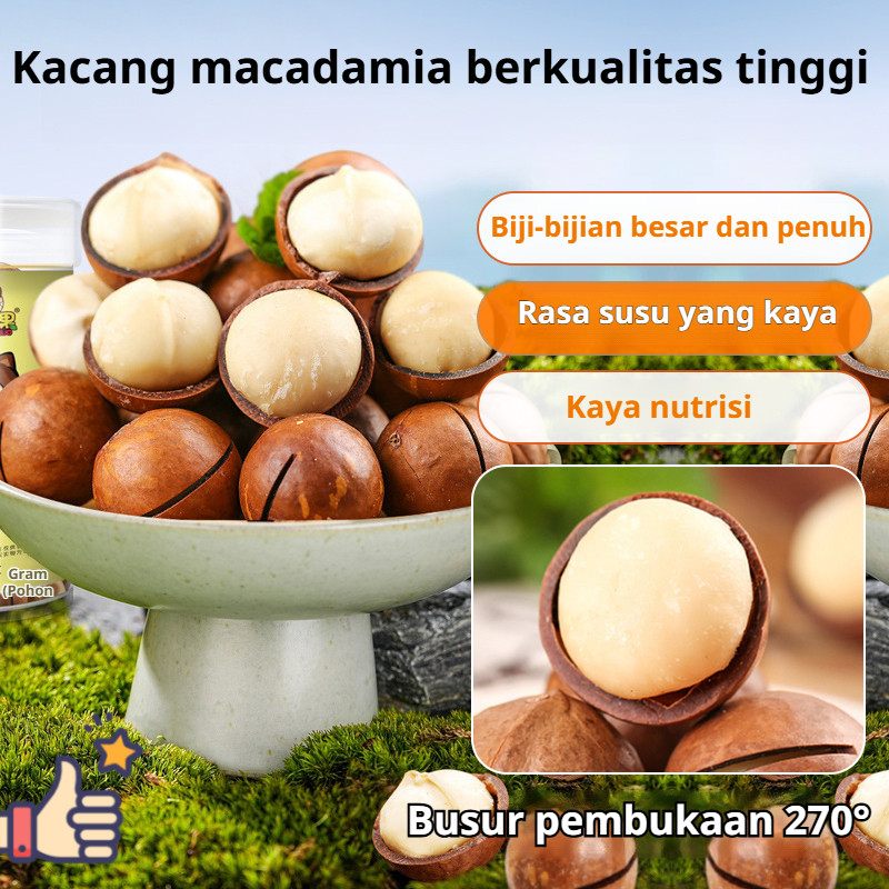 Jual COD + pengiriman 24 jam Kacang macadamia rasa susu ukuran besar ...