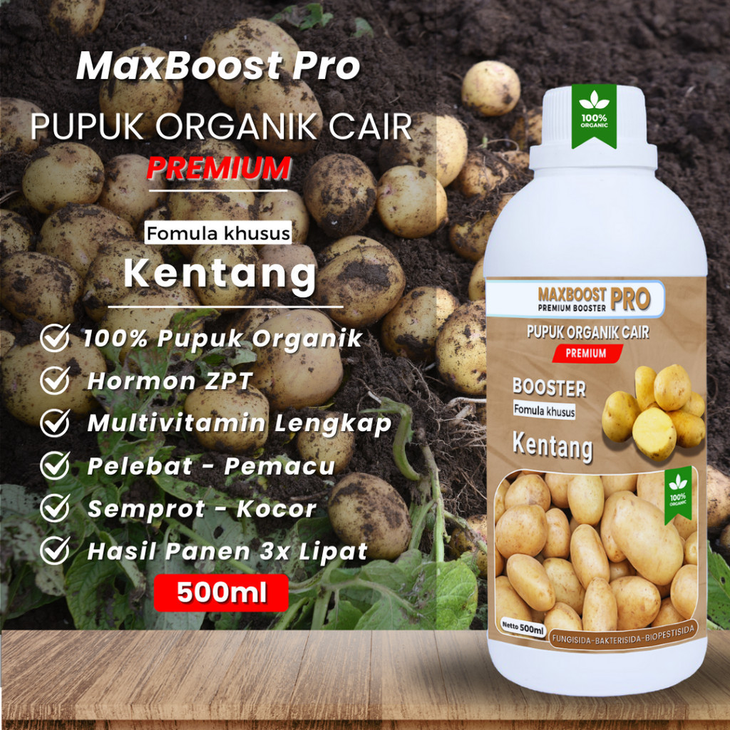 Jual Pupuk Organik Cair Tanaman Kentang, Booster Cair Kentang, Poc ...