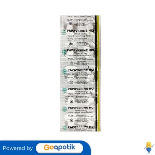 Jual Papaverin Hcl Novapharin 40 Mg Strip 10 Tablet | Shopee Indonesia