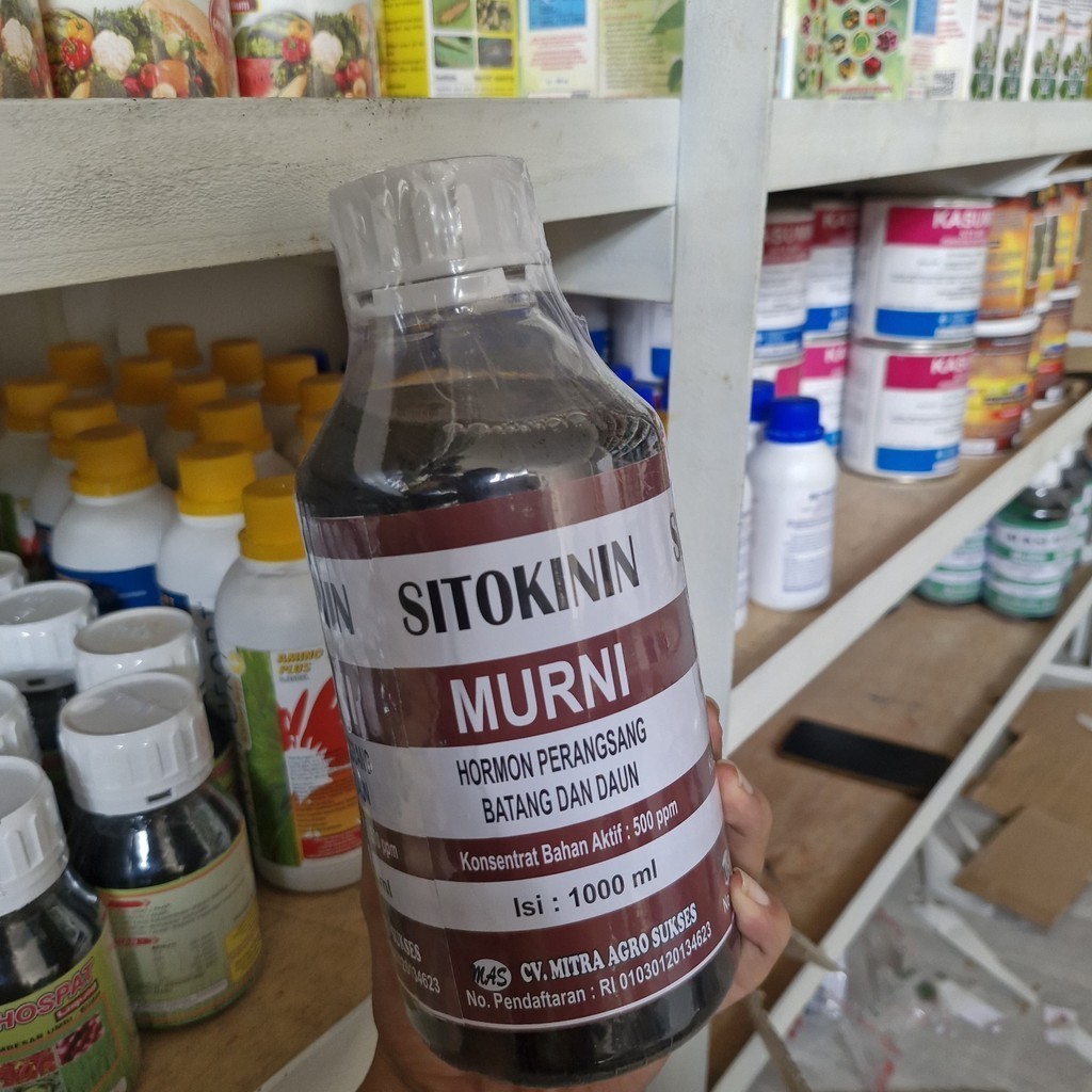 Jual Sitokinin Murni Literan untuk Tanaman Lebih Rimbun dan Batang ...