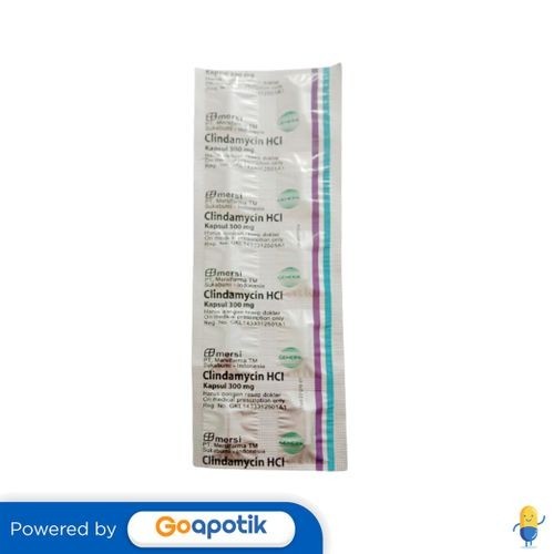 Jual Clindamycin Hcl Mersifarma 300 Mg Strip 10 Kapsul | Shopee Indonesia