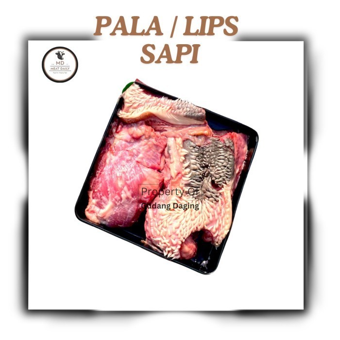 Jual Daging Pala/Pipi 1kg - Beef Lips Sapi | Gudang Daging | Shopee ...