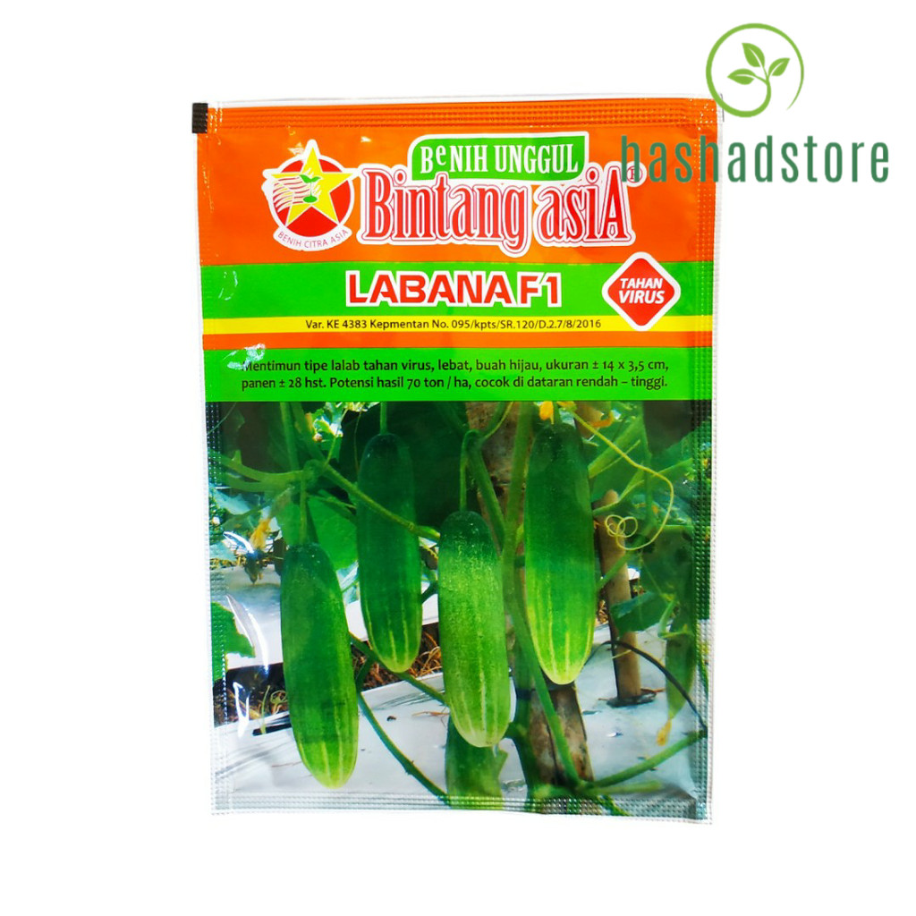Jual Benih Timun Mentimun LABANA F1 Isi 20 gram Benih Bintang Asia ...