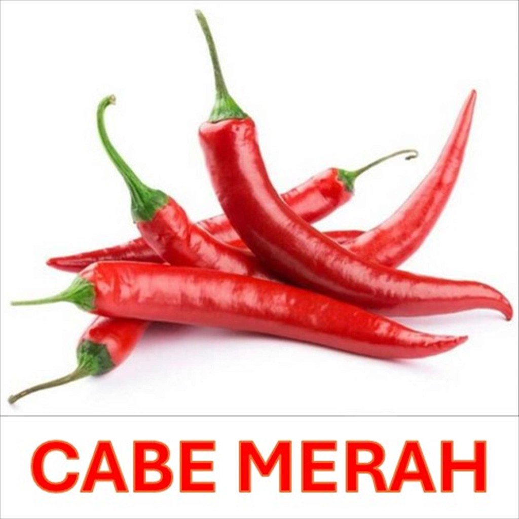 Jual CABAI MERAH BESAR / CABE BESAR / FRESH / HARGA PASAR / HARGA PER ...