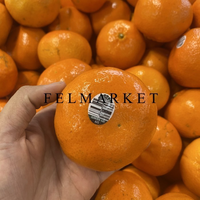Jual Jeruk Empress Australia Manis Segar / Buah Jeruk Mandarin Empress ...