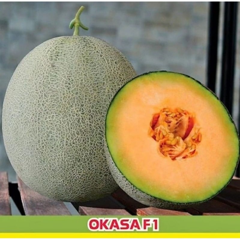 Jual 50 Benih Bibit Biji seeds Melon OKASA F1 Red Hibrida import, ORI ...