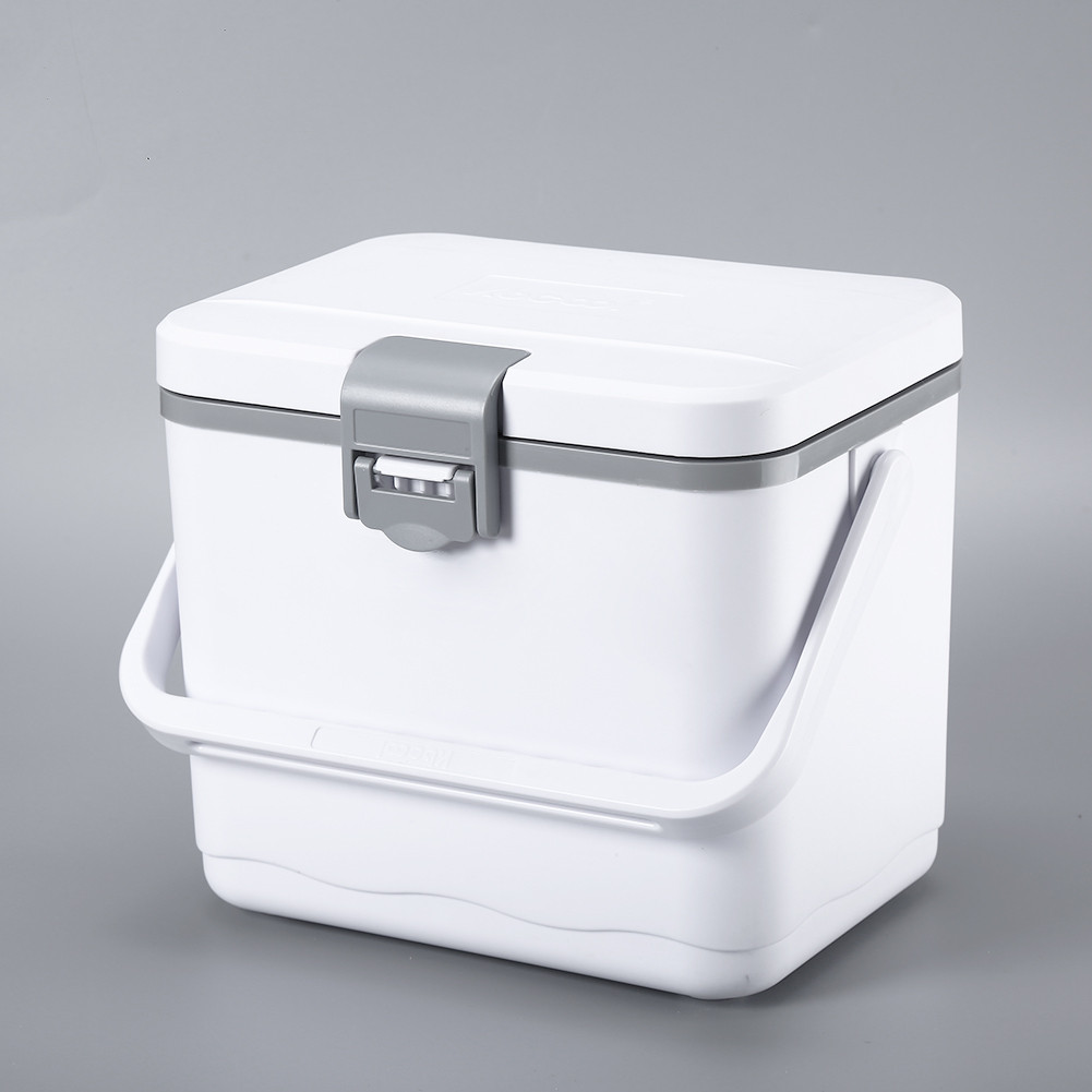 Jual 4.5L Insulated Portable Cooler with Handle Mini Freezer Fridge ...