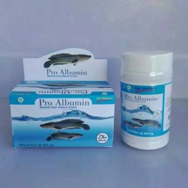Jual Pro albumin - extra ikan gabus - proalbumin original By sheep ...