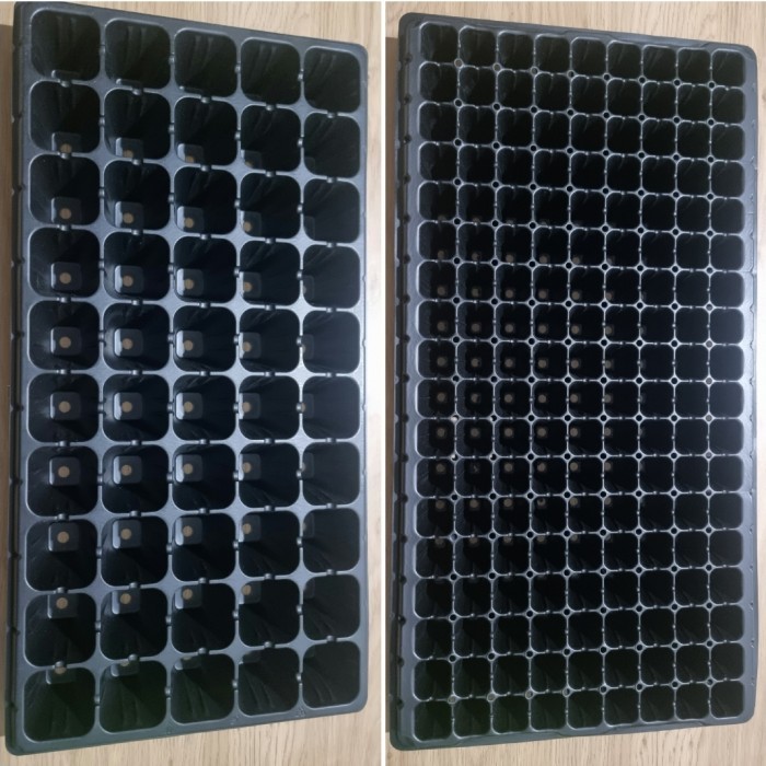 Jual Tray Semai Benih 50 lubang dan 162 lubang Hitam Seedling Tray ...
