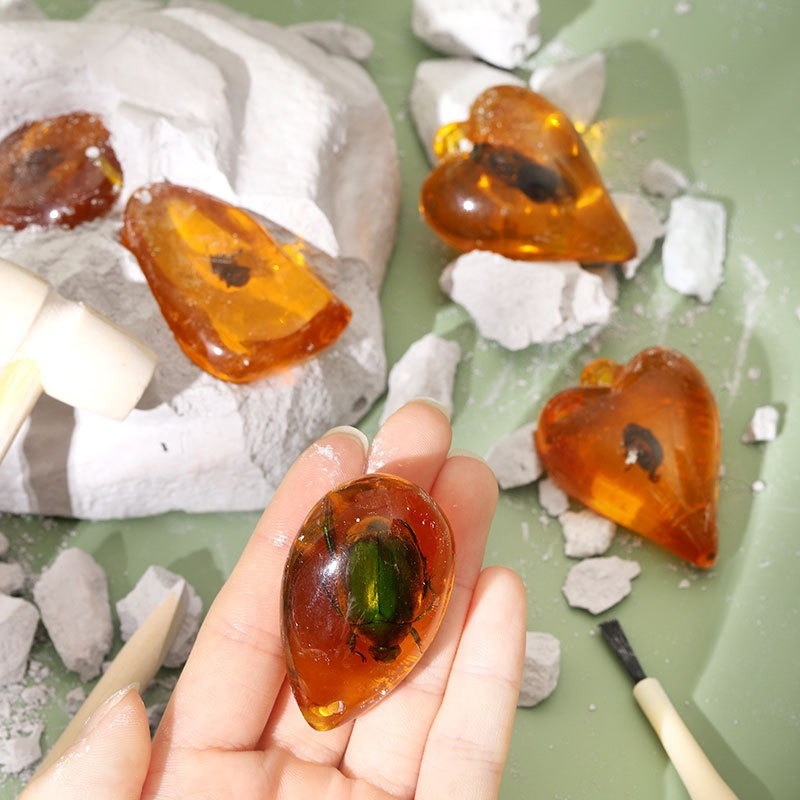 Jual archaeological amber agate blind boxes for children excavating toy ...