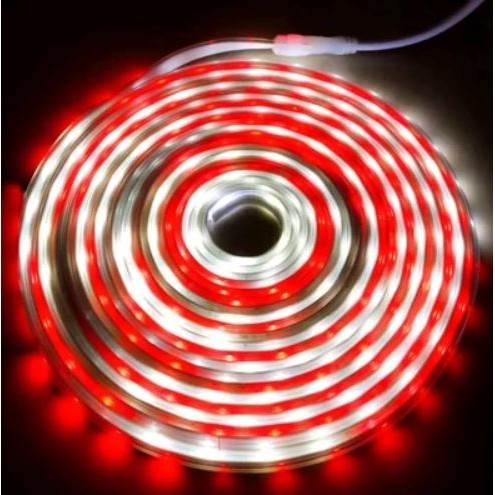 Jual Lampu Led Strip selang merah putih 8 meter dengan bermacam animasi ...