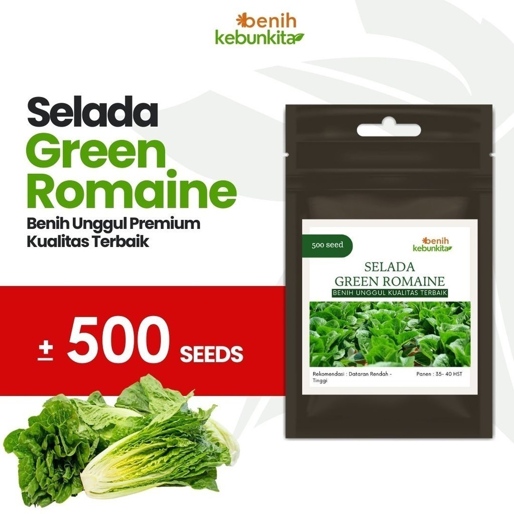 Jual Biji Benih Bibit Tanaman Sayuran Selada Green Romaine Unggul Berkualitas | Shopee Indonesia