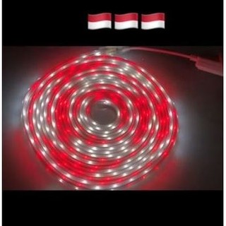 Jual Lampu Led Strip selang merah putih 8 meter dengan bermacam animasi ...