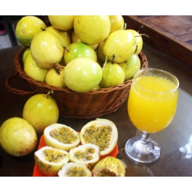 Jual BUAH MARKISA ASAM MANIS SEGAR MANTAP | Shopee Indonesia