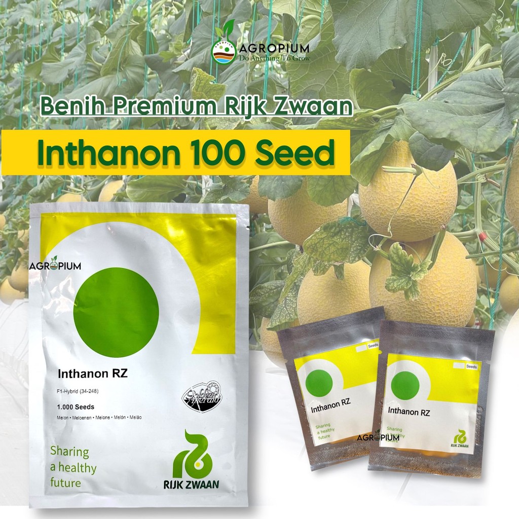 Jual Benih Melon INTHANON RZ Repack 100 Butir Rijk Zwaan | Shopee Indonesia
