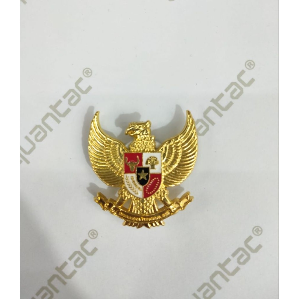 Jual Pin Garuda Paskibra Ukuran 3.5 cm Tebal Model Peniti | Shopee ...