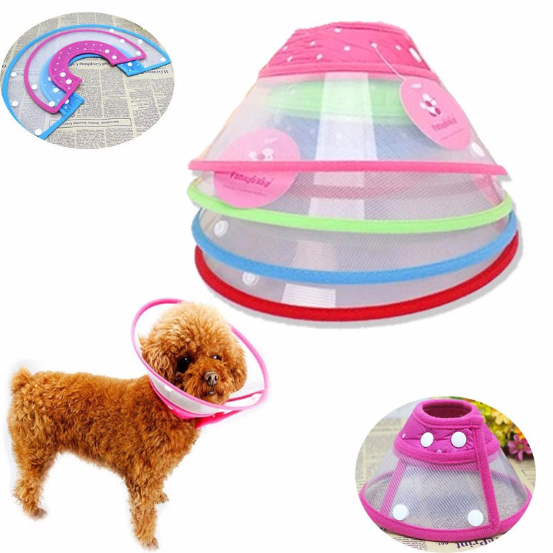 Jual Cat Dog Collar Neck Cone Recovery Collar Elizabethan Collars For ...