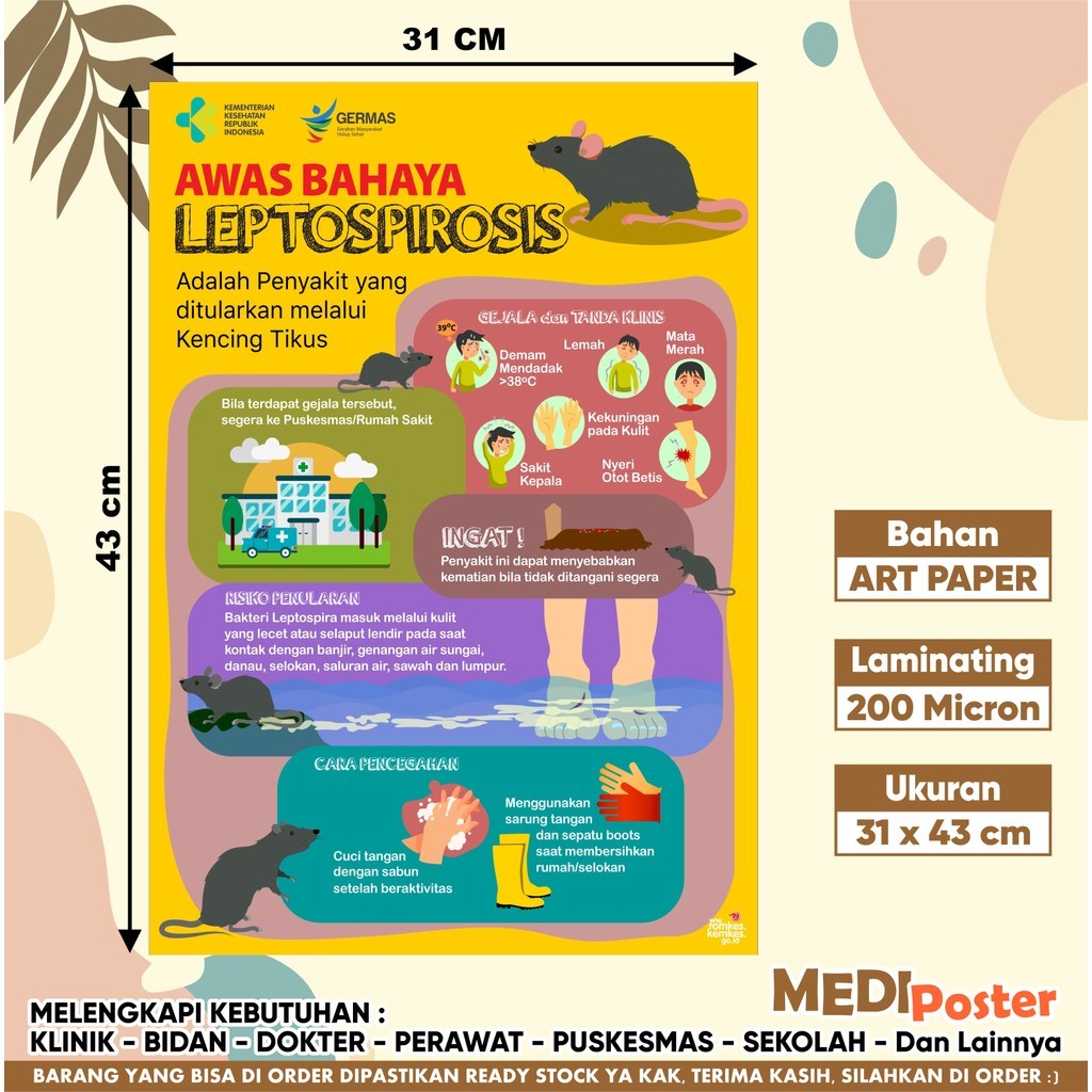 Jual Poster Awas Bahaya Leptospirosis | Shopee Indonesia