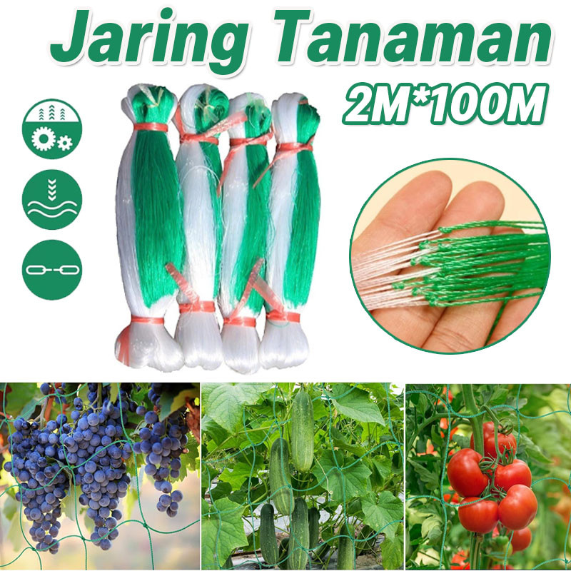 Jual 100M*2M Jaring Merambat Kuat Buah Anggur Sayuran Plant Climbing Net/Jaring Net Rambatan ...