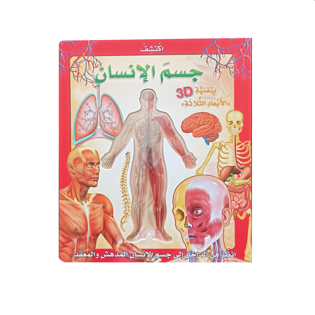 Jual 3D Human anatomy education, educational and instructive science ...