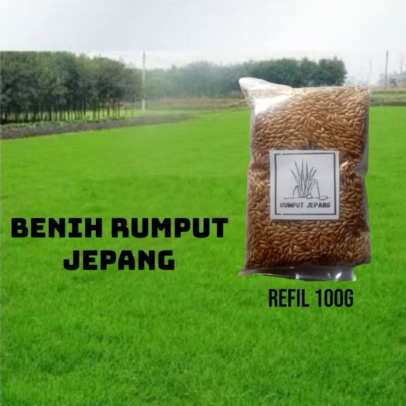 Jual benih rumput jepang 100gram | Shopee Indonesia