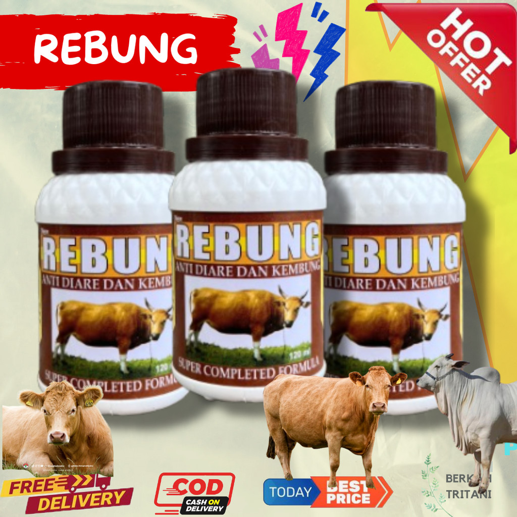 Jual Rebung Sapi 120 ml Obat diare dan kembung sapi kambing domba kuda ...