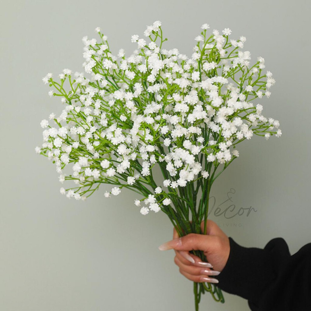 Jual Bunga Baby Breath Impor 5 Cabang Bunga Gypso Pikok Premium Plastik ...