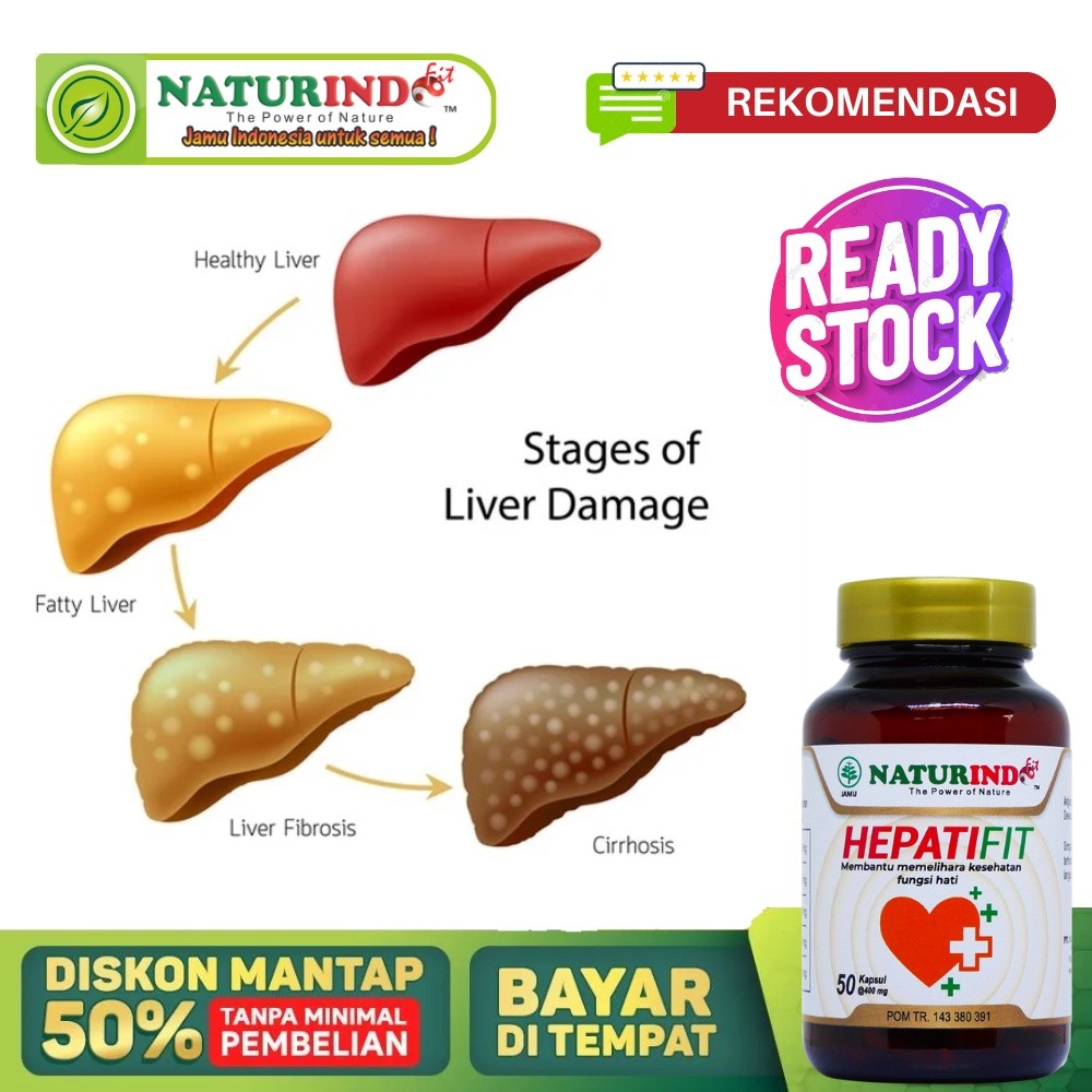 Jual Obat Liver Perut Bengkak Hati Berlemak Penyakit Kuning Hepatitis A ...