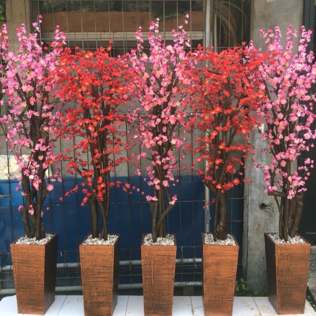 Jual Pohon sakura imlek / bunga plastik dekorasi rumah tinggi 1.7 M ...