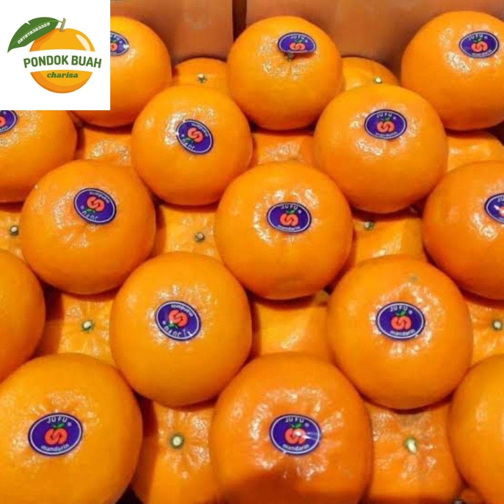 Jual jeruk wogan premium harga per dus 9kg buah fresh | Shopee Indonesia