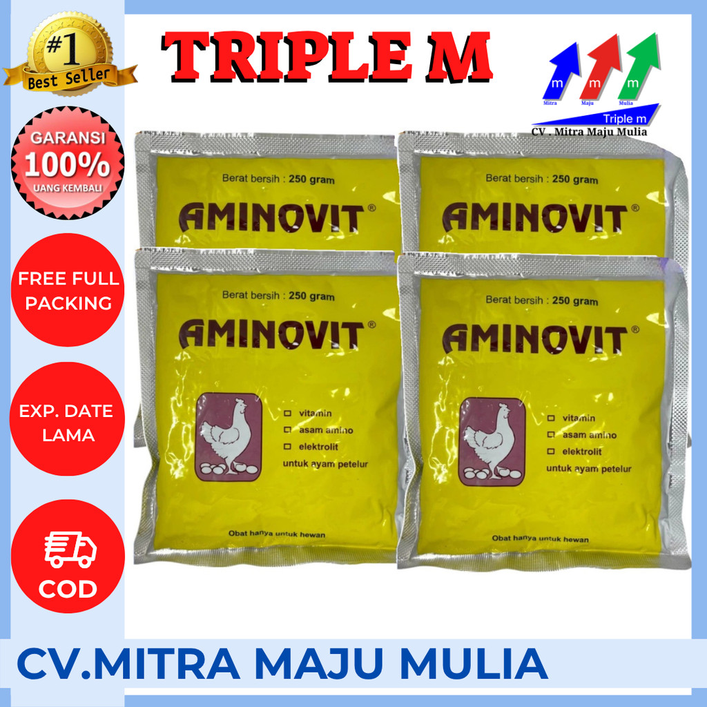Jual AMINOVIT 250 GRAM BUNDLING 1 KG ISI 4 PCS - Multivitamin Asam ...