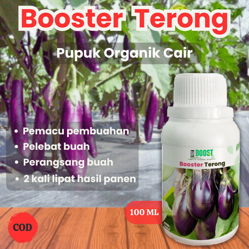 Jual Pupuk Booster Terong 100ml Memacu dan Melebatkan buah dengan kandungan organik unsur hara ...