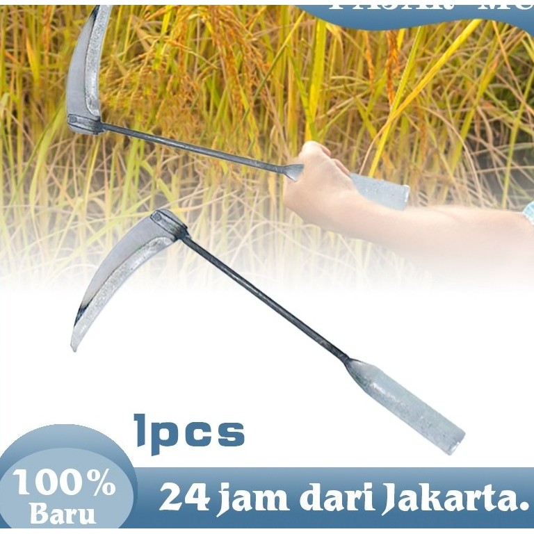 Jual Sabit Rumput Untuk Memotong Rumput Dan Memanen Sayuran Pemotong ...
