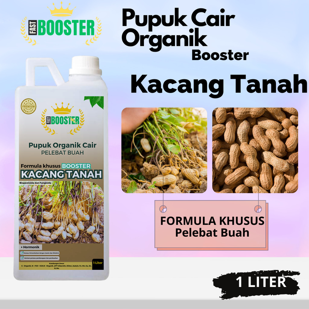 Jual Pupuk Booster Organik Cair 1 Liter Kacang Tanah pupuk pertumbuhan dan pelebat buah kacang ...